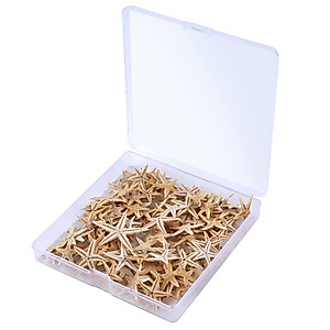 PPCLION 100 Pcs Small Starfish Star Sea Shell Beach for Craft 0.4"-1"