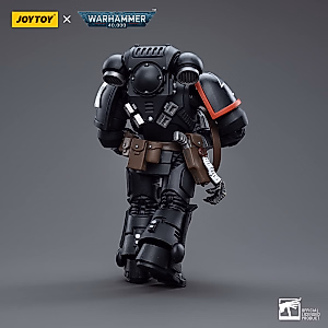 JOYTOY 1/18 Warhammer 40,000 Action Figure Raven Guard Intercessors Brother Colvane Collection Model(4.7Inch)