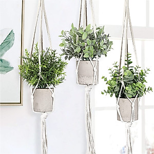 Artificial Plants 3 Pack Mini Fake Plants Fake Hanging Plants Artificial Decor with 3 Macrame Plant Hangers Decorative Plants Faux Hanging Plants Greenery Decor for Wall Kitchen Bathroom Home Office