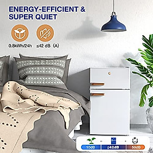 JOY Kitchen JR31TWEE10 2-Door Mini Fridge with Freezer Adjustable Thermostat, Removable Shelf, Energy Efficient, Front Leveling Legs, 3.1 Cu Ft, White