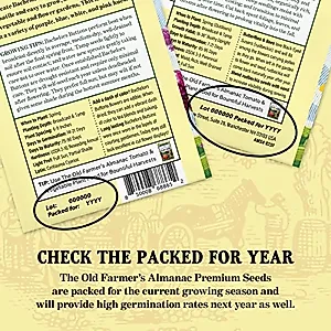 The Old Farmer's Almanac Heirloom Sweet Corn Seeds (Golden Bantam) - Approx 75 Seeds - Non-GMO, Open Pollinated, USA Origin