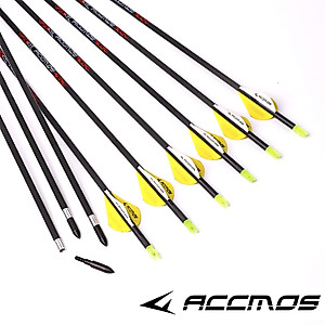 Spine 400 Arrow for 70 Lb Compound Bow 24 Inch Arrow Target Practice Arrow Hunting Arrow Carbon Arrows Adult Youth Archery Indoor Outdoor Shooting Bullet Tip 12pc