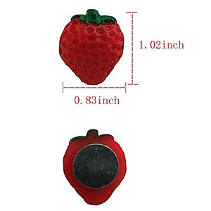 ThemeParks Disney Parks Ratatouille Remy Kitchen Timer and Strawberry Refrigerator Magnet