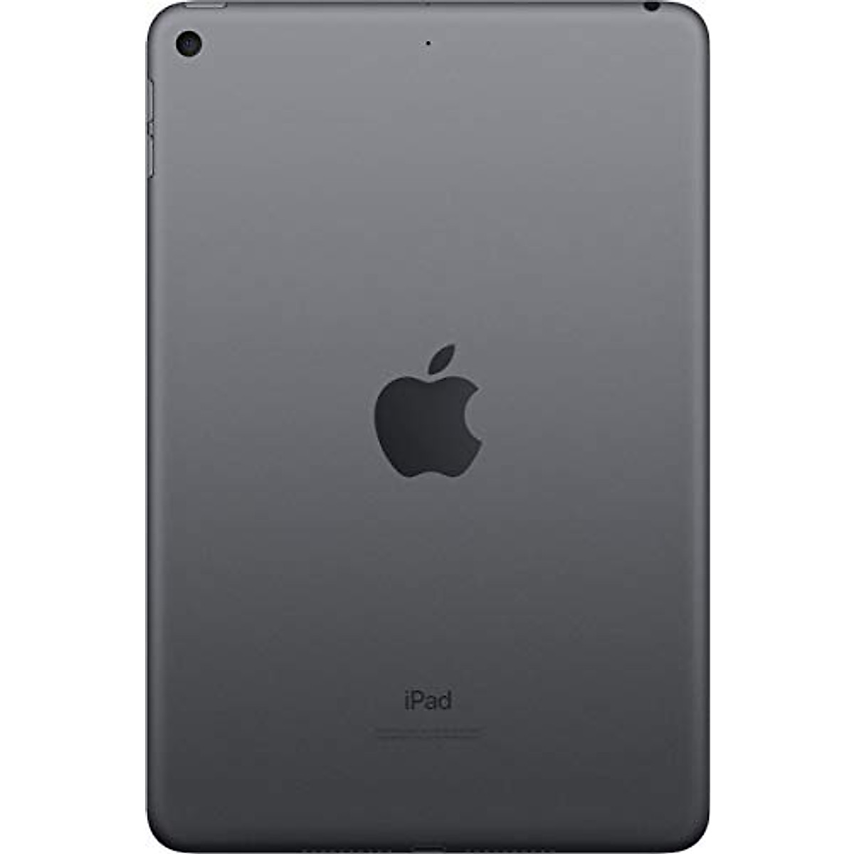 Apple iPad mini 7.9 inches (Early 2019 ) 256GB, WiFi Only - Space Gray (Renewed)