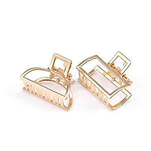 Brinie Hair Claw Gold Hair Clips Mini Non Slip Claw Clips Hair Accessories Daily Party Gift for Women and Girls (2 PCS)