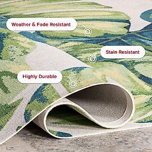 nuLOOM Lisa Floral Indoor/Outdoor Area Rug, 9x11, Multi