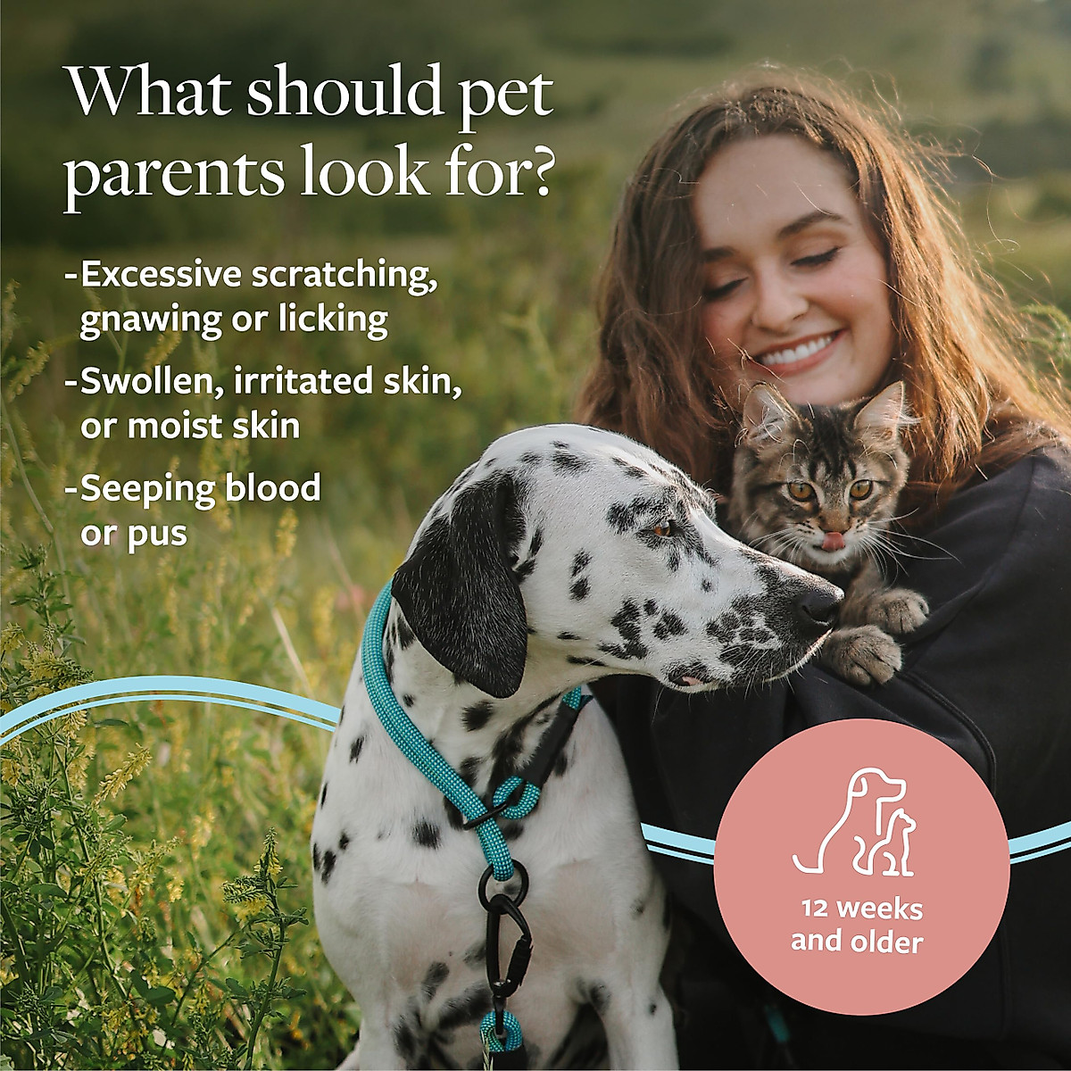 Veterinary Formula Clinical Care Hot Spot & Itch Relief Medicated Shampoo for Dogs and Cats 16oz – Helps Alleviate Sensitive Skin, Scratching, and Licking of Coat