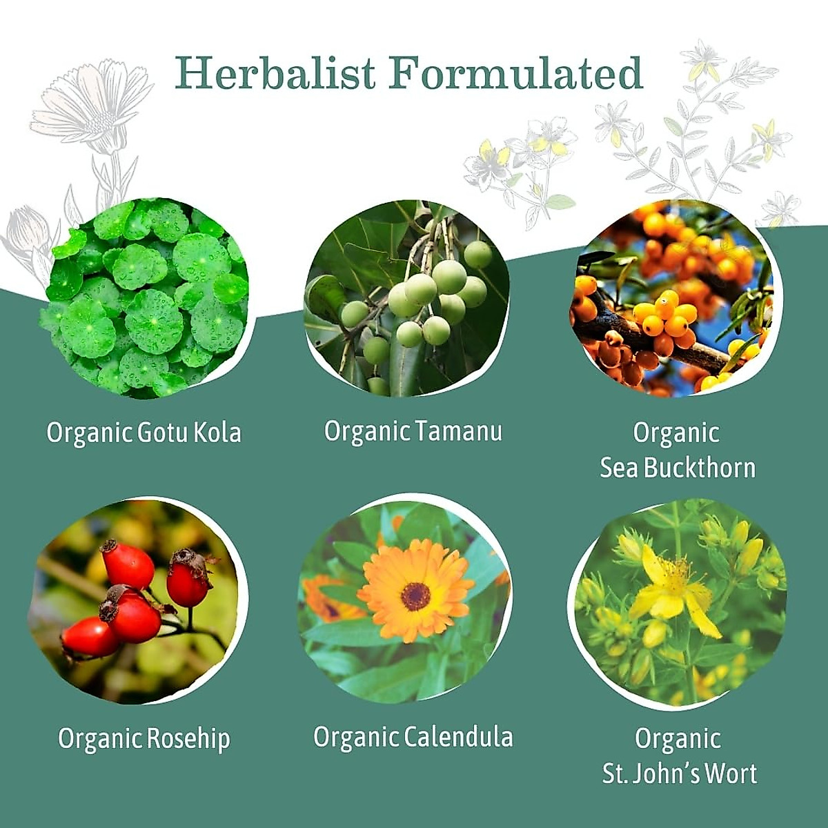 Earth Mama Organic Skin & Scar Balm |C-Section Recovery Skin Care, Pregnancy Stretch Mark Scar Cream with Organic Jojoba Oil, Tamanu Oil & Gotu Kola