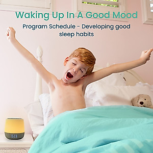 Babysense Dreamer Baby Sound & Light Machine, Adjustable RGB Night Light, Clock and Temperature Display, Sleep Trainer, Program Schedule, White, Pink & Brown Noise Soother, Lullabies & Sounds