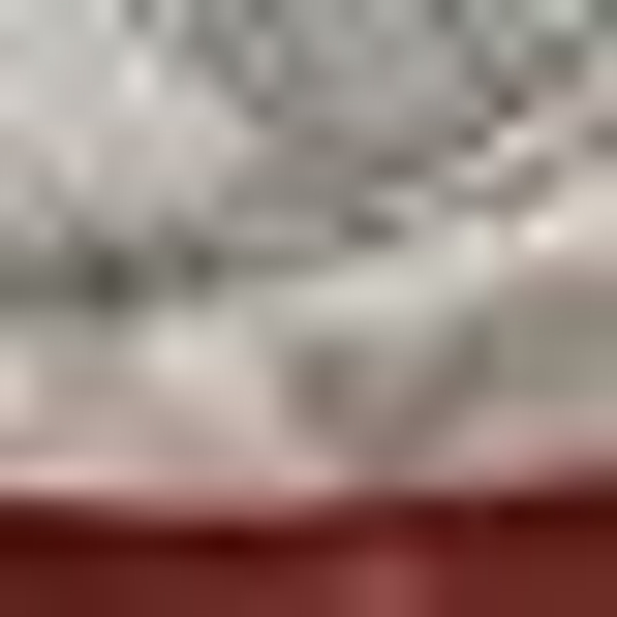 NIKE Men's Sneaker, Light Bone Summit White Khaki Dune Red, 11