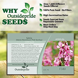 Outsidepride Salvia Horminum Pink Sunday Clary Garden Cut Flowers Great for Dried Arrangements, Vases, Bouquets - 1000 Seeds