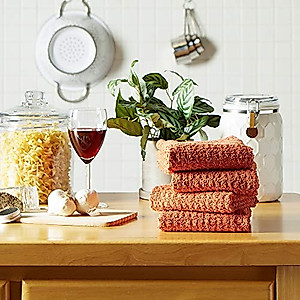 DII Basic Terry Collection Waffle Dishtowel Set, 15x26, Solid Spice, 4 Piece