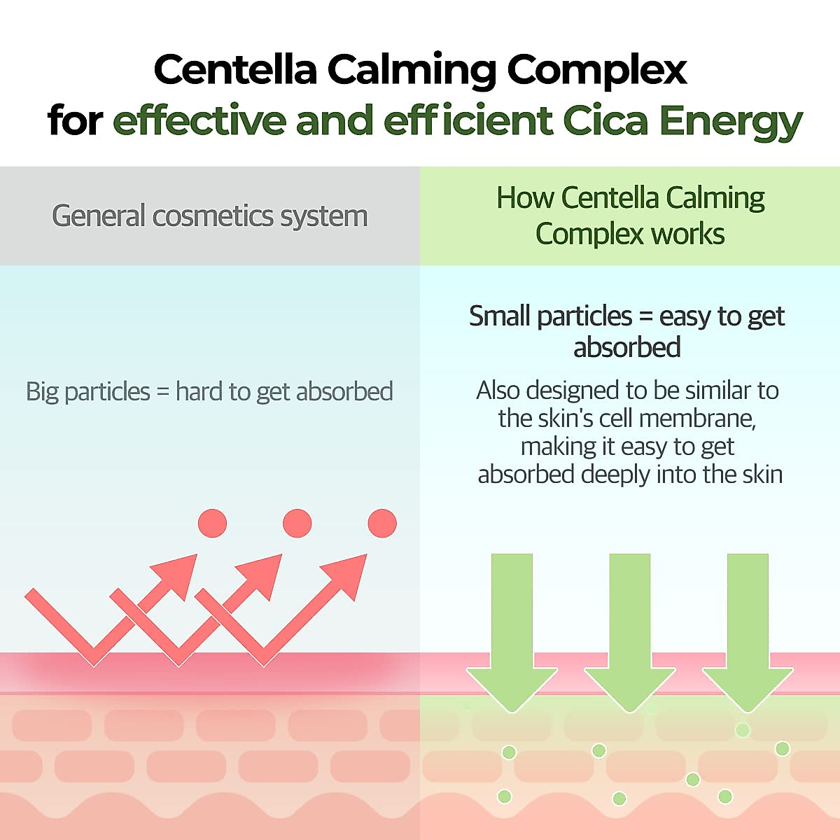 numbuzin No.2 Cica Ceramide Repair Cream | Ceramide, Centella Asiatica | Hydrating, Calming, Skin Recovery, Strengthen Skin Barrier, Deep Repair | All Skin Types | 2.02 fl. oz.