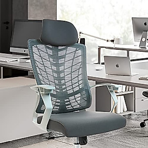 CLATINA Ergonomic High Swivel Executive Chair with Adjustable Height Fabric Headrest Lumbar Support and Mesh Backrest for Home Office, Grey 1 Pack