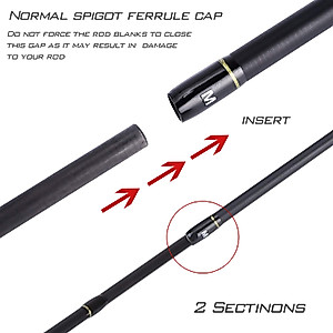 Sougayilang Fishing Rods - IM6 Graphite Blanks Casting & Spinning Rods, 2-Piece Rods with Extra Tip Section,Power Transition System, EVA Handle(Cast 6ft)