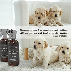 Muse Apothecary Complete Pet Stain and Odor Remover Enzyme Carpet Cleaner - Dog Stain Remover and Odor Neutralizer, Essential Oils Infused, Pet Stain Remover for Carpet - Pet Stain Carpet Cleaner 16oz