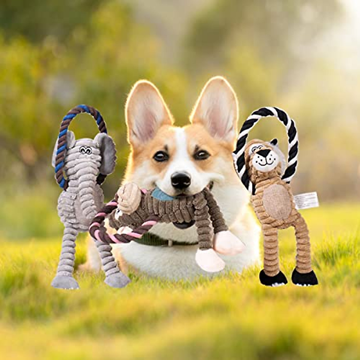 havidodo Squeaky Dog Toys, 3 Pack Puppy Toys, Durable Dog Toys for Small Medium Dogs Breed, Plush Dog Toys Bulk Set, Stuffed Dog Toys Pack with Rope, Tough Puppy Chew Toys for Teething