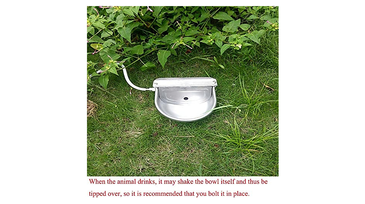CPROSP Automatic Waterer for Livestock - Stainless Steel, Float Valve
