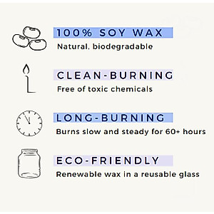 Vera Rose Home Blueberry & Vanilla Scented Soy Candle Long Burning Highly Scented Candles 60+ Hours Clean White Vegan Candle Odor Eliminating Candle Safe for Pets 12oz Jar