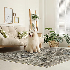 Lahome 5x7 Area Rugs 5 x 7 Dining Room Rugs for Under Table Large Washable Dining Room Rug,Moroccan Trellis Non Slip Non Shedding Indoor Carpet for Living Room Bedroom,Antique/Moss