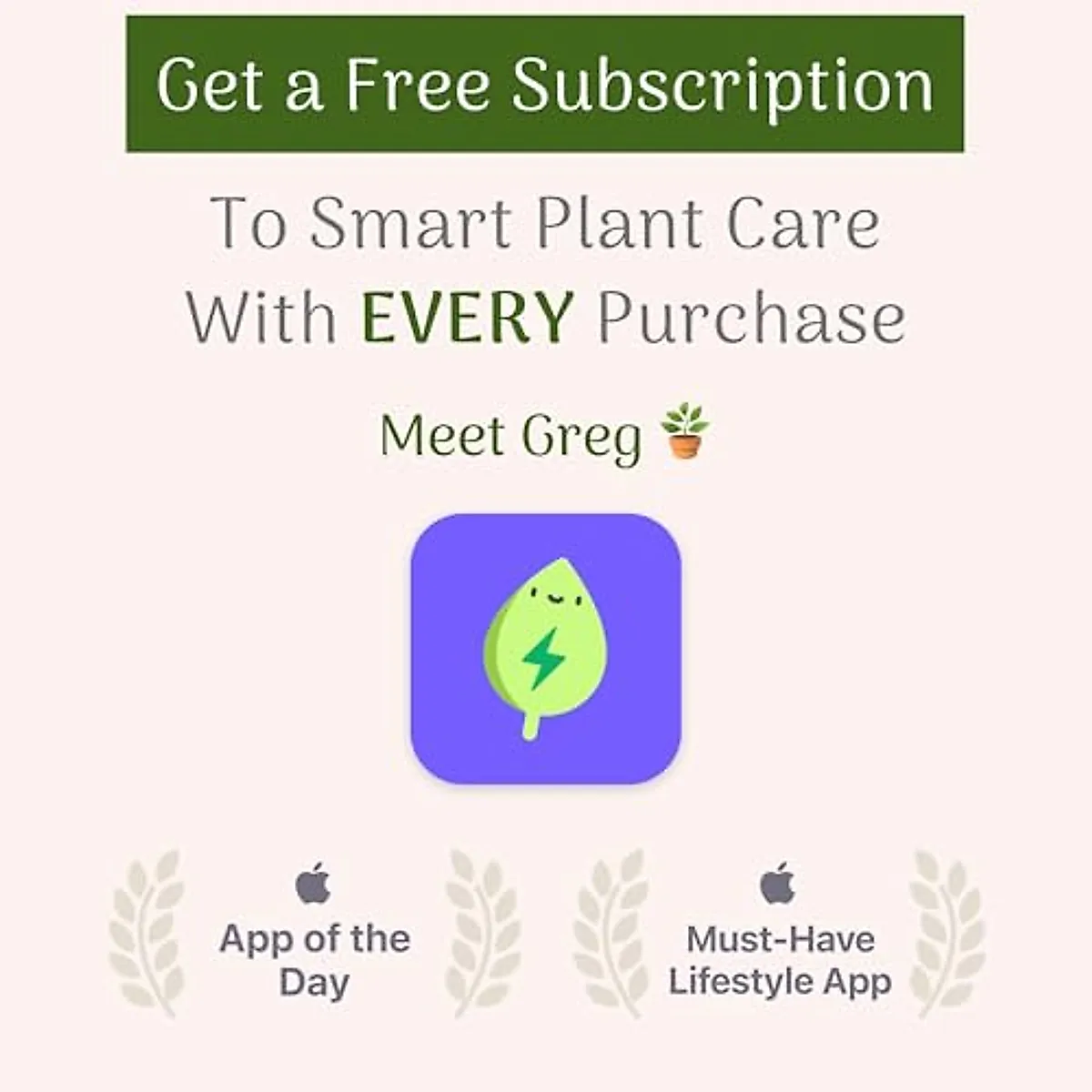 American Plant Exchange Snow & Summer Jasmine - Fragrant White Blooms, Climbing Vine, Ideal for Trellises, Gardens, and Patio Decor