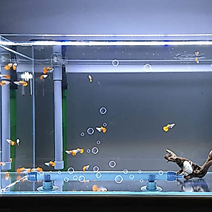 RHBLME Air Stone Bar with Suction Cups, 6-Set, 8 Inch Aquarium Bubble Wall Fish Tank Bubble Bar Tube Bubble Release Diffuser Bar for Fish Tank Aquarium Hydroponics Pump