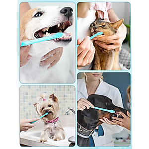 100 Pcs Dog Toothbrush Dog Tooth Brush Double Headed Dog Tooth Brushing Kit Soft Bristles Dog Tooth Brush Long Handle Toothbrush For Dogs Cat And Most Pets Toothbrush Best Dog Teeth Cleaning -Blue