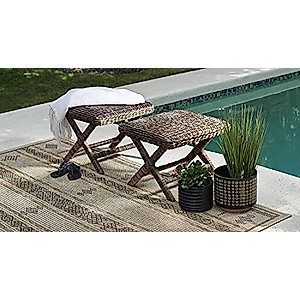 Momeni Hampton Transitional Indoor/Outdoor Area Rug, Natural, 4'1" X 6'