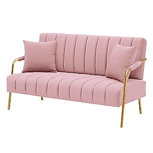 Pvillez Velvet Loveseat Modern Comfy Loveseat Sofa Couch for Living Room Upholstered Love Seats Furniture w/Gold Metal Legs loveseat for Small Spaces, Apartment, Bedroom, Dorm, Office (Pink Loveseat)