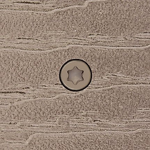 Deckfast Stainless Steel Fascia Screws 9 x 1-7/8 T-20 Star Drive Chocolate 100 Pieces