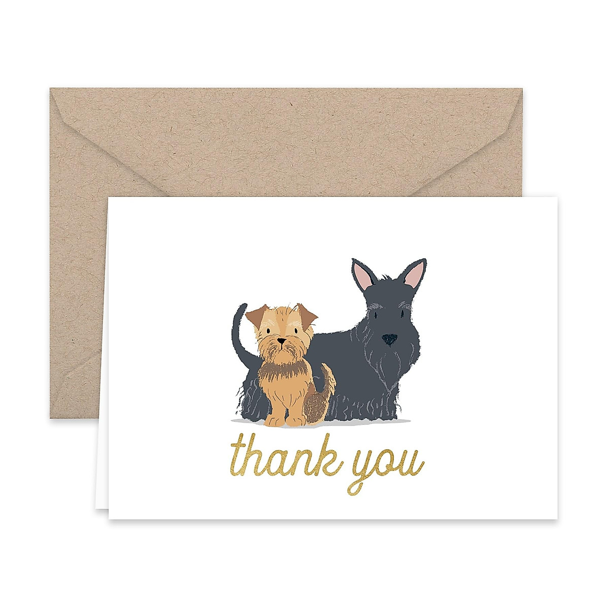Paper Frenzy Dogs Puppies Thank You Note Card Collection 25 pack with Kraft Envelopes