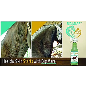 Big Mare All Purpose Horse Skin & Wound Care | 32oz Bottle | First Aid: for Girth Itch, Crud, Itchy Manes & Tails & Hair Loss | Veterinarian Approved & Recommended