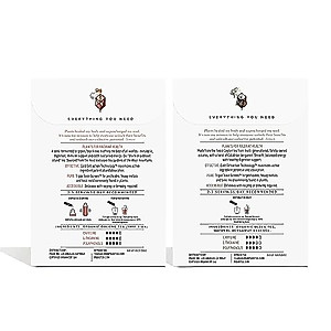 Pique Organic Energy Tea Crystals Sampler - Caffeinated Black Tea for Energy, Supports Metabolism and Healthy Digestion - 28 Single Serve Sticks (Pack of 2)