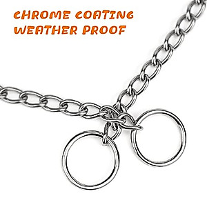 TagME Chain Dog Choke Collar, Weather Proof Metal Slip Collars Training Choker Collar for Puppy Small Dogs Breed (1 Pack)