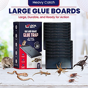 Sticky Mouse Pads 12-Pack | Large Glue Boards for Mice, Rats, and Snakes | Non-Toxic Heavy Duty Glue Boards for Indoor Use, Rodents, Spiders