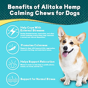Hemp Calming Chews for Dogs - Dog Calming Treats Anxiety Relief 100% Golden Ratio of Natural Ingredients Calming Dog Treats, Aid with Separation, Barking, Stress Relief, Thunderstorms - Duck Flavor