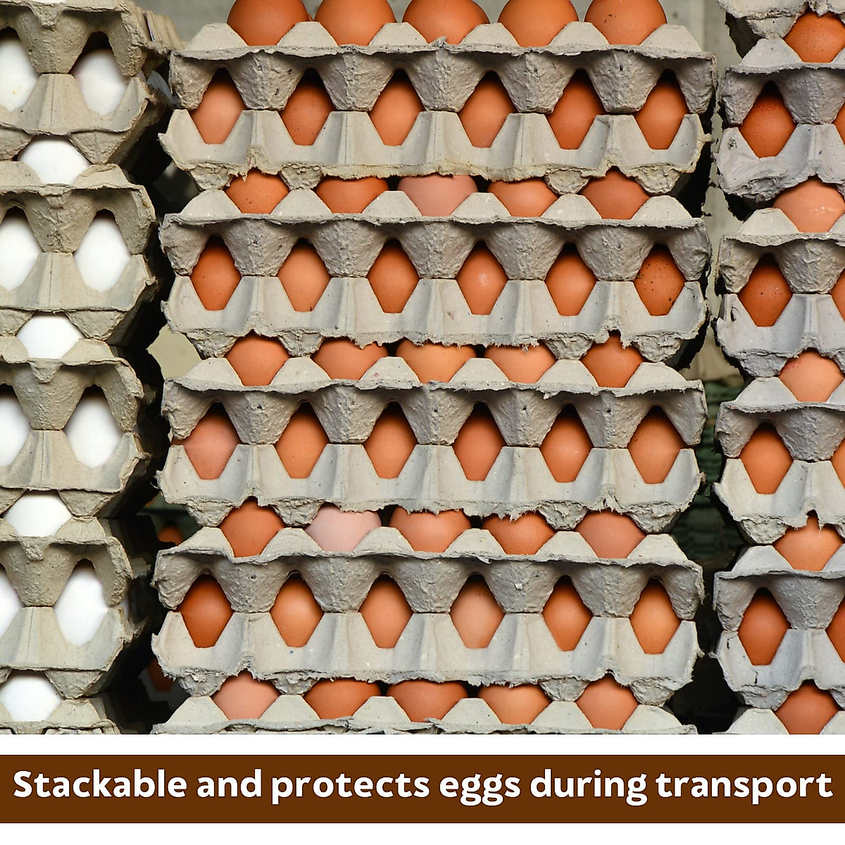 60 Pieces Egg Crates Bulk 30 Cell Egg Cartons Bulk Pulp Fiber Egg Cartons Reusable Paper Egg Container Empty Egg Tray Egg Holder for Farm Market Family Kitchen Storing Eggs