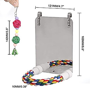 Tylu 6.6 inch Bird Mirror for Cage Parakeet Mirror with Rope Perch, Bird Cage Mirror Stand Swing Toys for Cockatiel Lovebirds Parrot Cockatoo Conures Finch Canaries, with ornaments