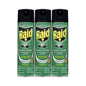 Raid House Garden Bug Killer, 11 OZ (Pack - 3)
