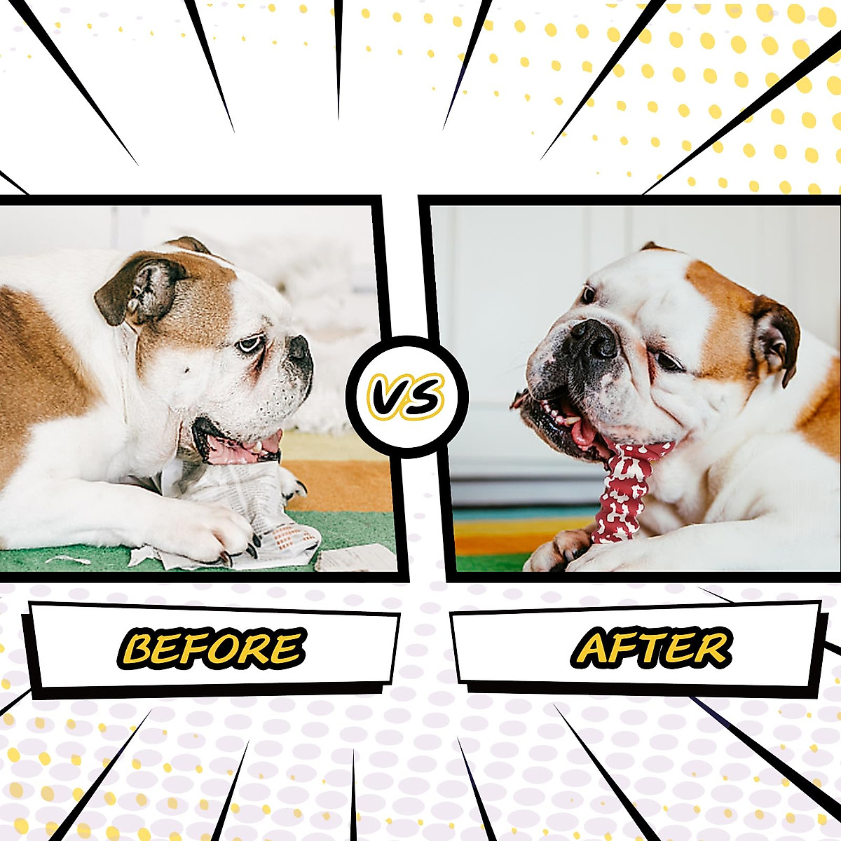 Dog Toys- eco Rubber Toys-Waste Poop Bags-Toy Bag- Medium and Large Breeds-Interactive Dog Toys for Large Dog