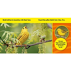National Geographic Kids Look and Learn: Birds (Look & Learn)
