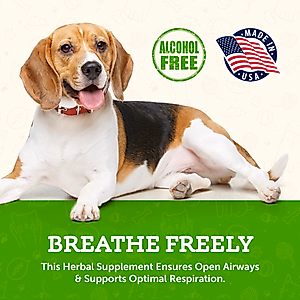 Animal Essentials Breathe EZ for Dogs & Cats - Pet Respiratory Support Supplement, Clear & Easy Breathing, Healthy Respiration, Herbal Formula - 2 Fl Oz