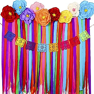 16 Pieces Mexican Paper Flowers Mexico Fiesta Party Decorations Streamer Backdrop and Papel Picado Banner Mexican Party Decorations Supplies Set for Cinco De Mayo Party Taco Party Birthday