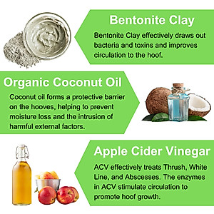 Pure Sole Hoof Mud - an All Natural Hoof Clay for Horses - an Effective Horse Hoof Care Product for Thrush Treatment, White Line, and Hoof Wall Separation. Use Regularly for A Healthy Hoof - 16oz.