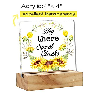 Bathroom Desk Decor Acrylic Desk SignHumor Hey There Sweet Cheeks Acrylic Plaque Home Restroom Desk Shelf Decoration 4.7"x4.7"