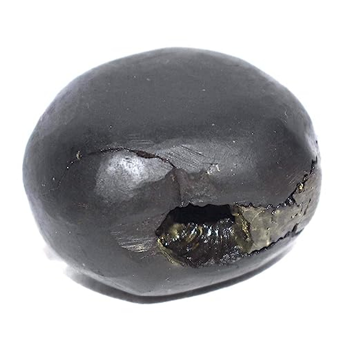 Rudrakshguru Laxmi Narsimha Shaligram