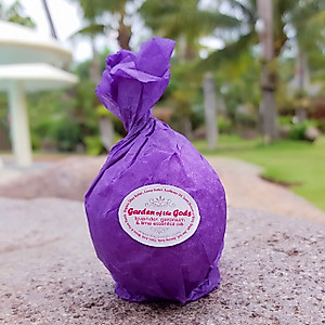 Bath Bomb Wholesale Kit - 18 USA Made Organic & Natural Fizzies Fun Bridal or Baby Shower Favors. Buy Bulk & Save. Makes a Unique Relaxing Gift Idea.