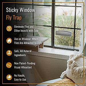 Dr. Killigan's The Fly Inn | Window Fly Traps | Sticky Fly Strip | Indoor Insect Trap | Catches and Hides Bugs | Better Than Fly Paper or Ribbon | Get Rid of Flies | (2+4, Gray)
