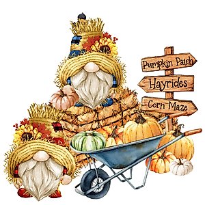 Fall Scarecrow Gnomes Sublimation Transfer, Ready to Press, Autumn, Sunflowers, Pumpkins, Gnome Sublimation Transfer, Harvest, Ready to Use (Mug x4)