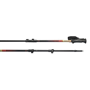 Whitewoods Mountain Pro 4 season telescopic poles
